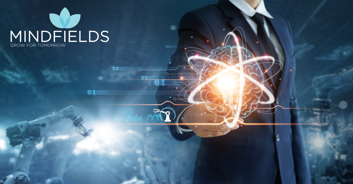 Hyperautomation Consultants | AI Service Provider | Mindfields